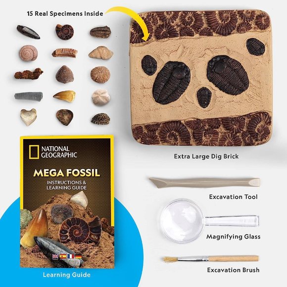 National Geographic | Toys | National Geographic Mega Fossil Dig Kit ...